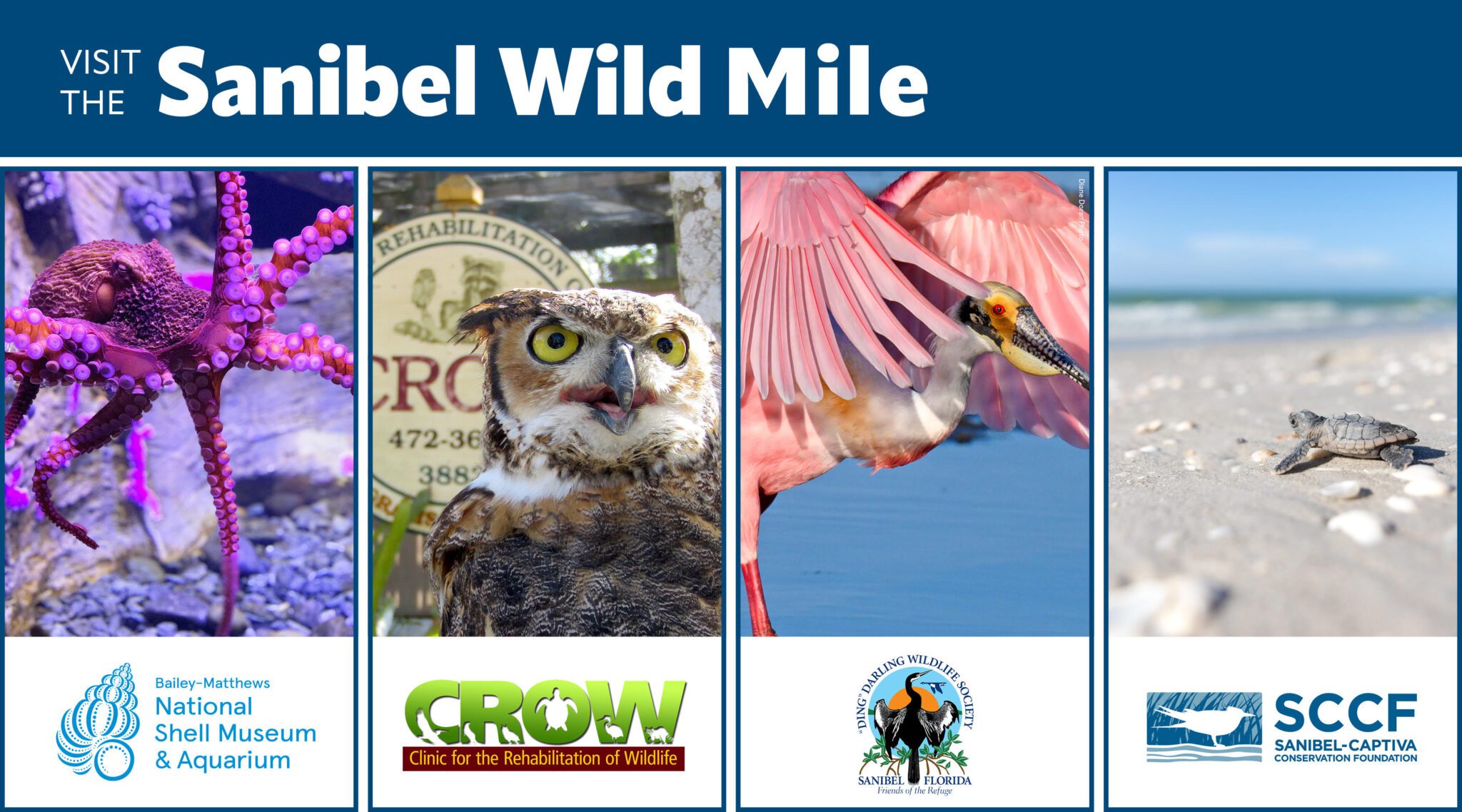 Plan Your Visit - Bailey-Matthews National Shell Museum & Aquarium