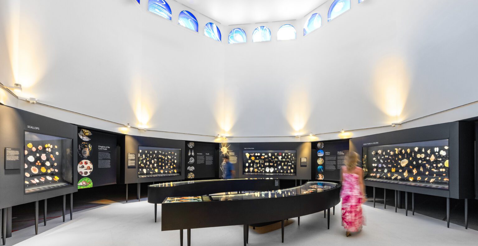 Great Hall of Shells - Bailey-Matthews National Shell Museum & Aquarium